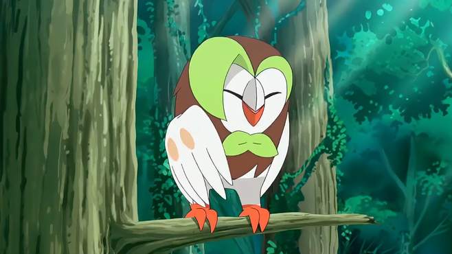 当木木枭遇上它的进化型~ 神奇宝贝 宠物小精灵 精灵宝可梦