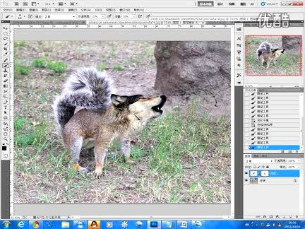 PS教程每日一教PS动物合成