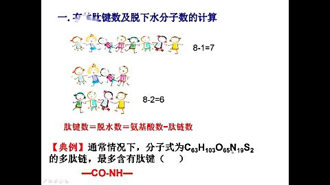 【侨中】微课5:生物蛋白质相关计算