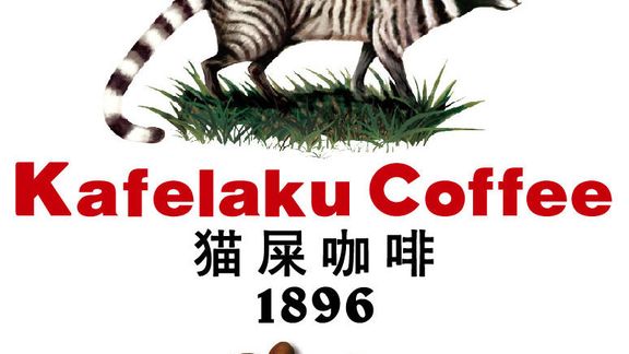 实拍猫屎咖啡生产过程,世界上最贵的咖啡是怎么来的