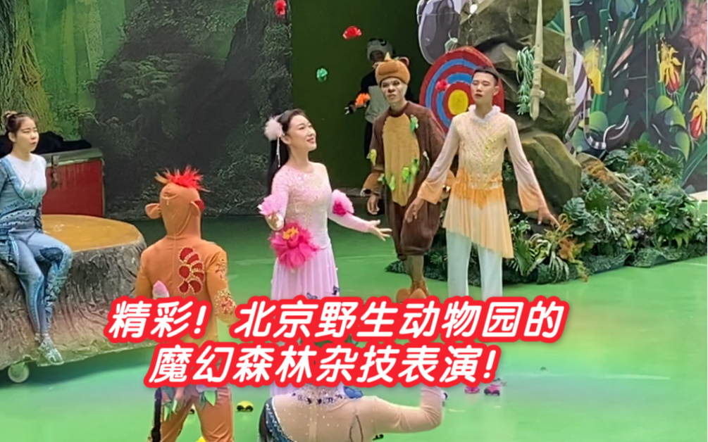 魔幻森林艺术表演太精彩了,北京野生动物园居然还有这场大剧,不去看...