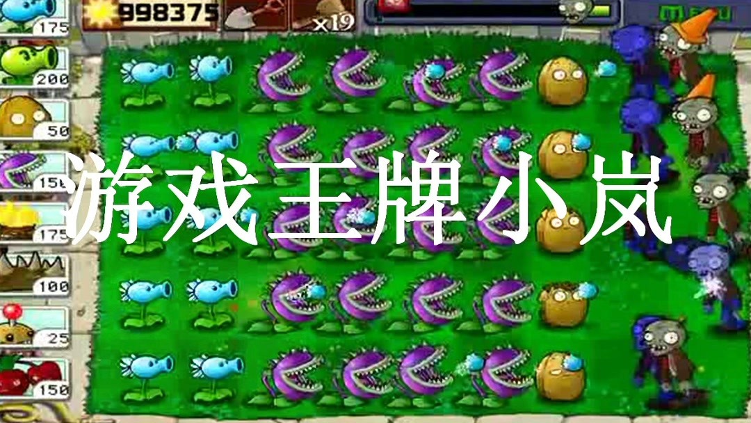 植物大战僵尸:小游戏之僵尸模式