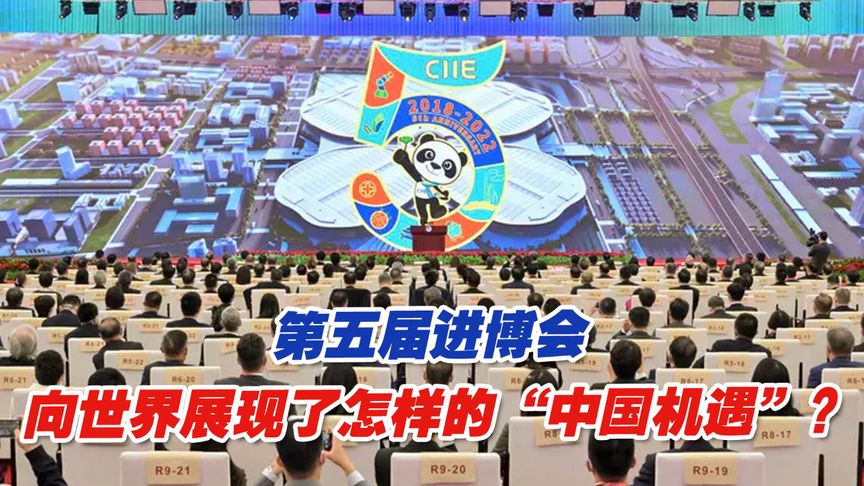 第五届进博会向世界展现了怎样的“中国机遇”?