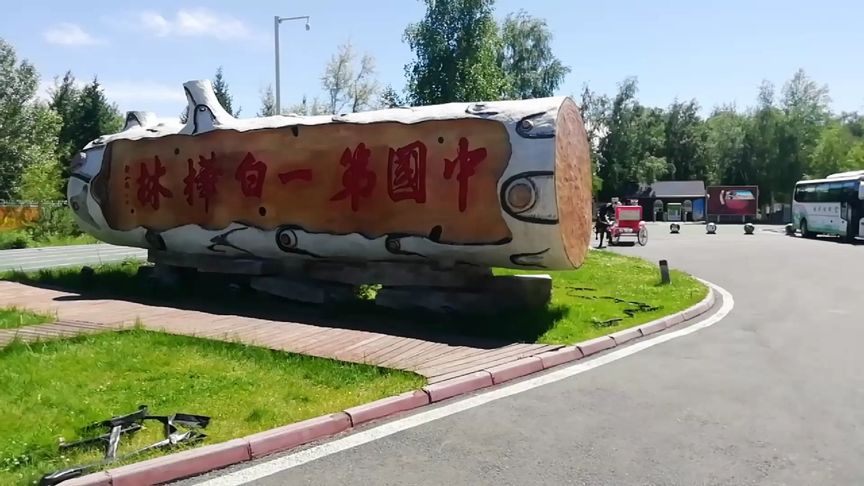 太原人自驾新疆白桦林