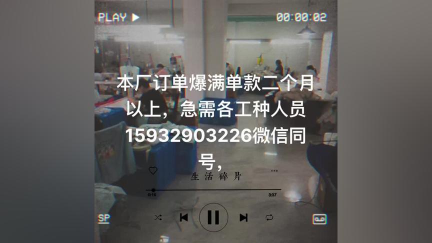 #工厂实拍视频 #认真工作的样子