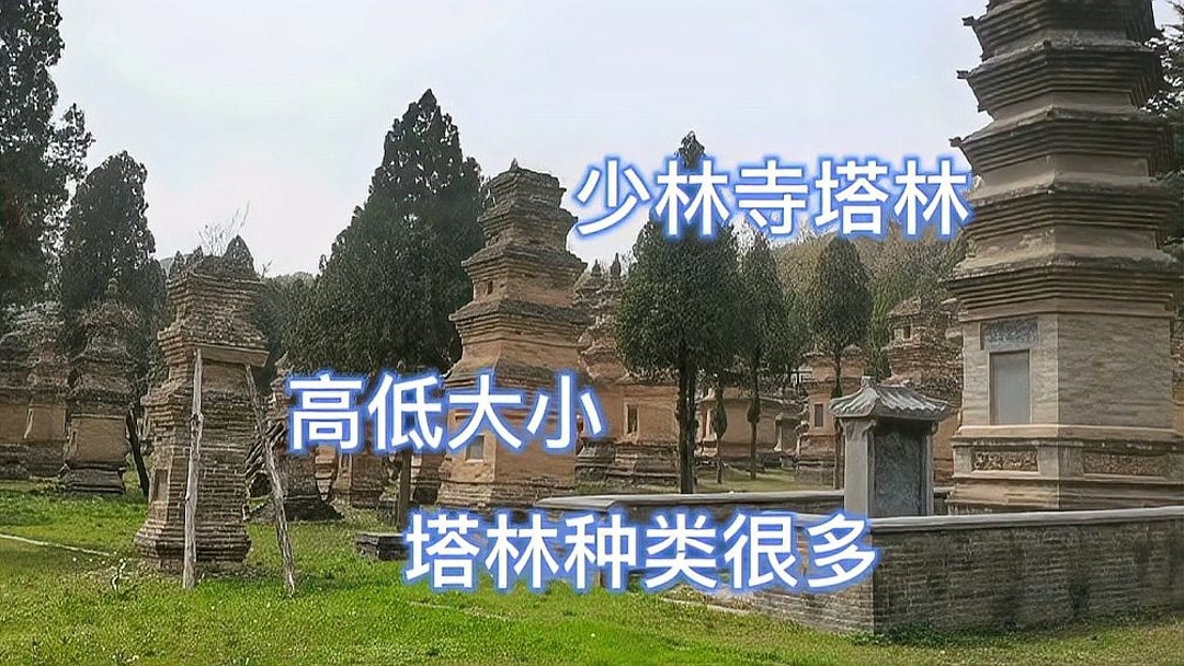 少林寺塔林为佛教建筑,是历代高僧的墓地,规模很大种类繁多