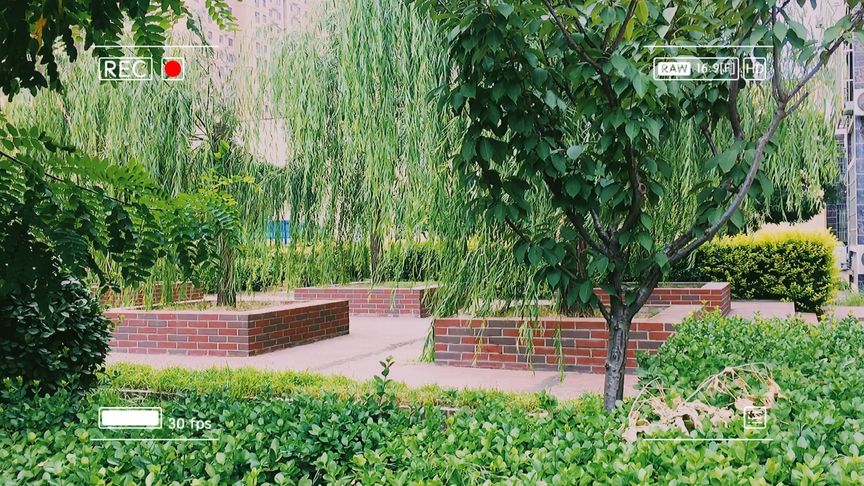 小区一角#和华嘉园#绿化覆盖率