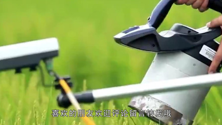 有机水稻科学的肥培管理方法, 能为产量保驾护航, 施肥技巧是关键