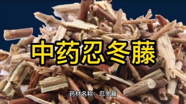 中药忍冬藤的作用 中药,中草药健康知识大全