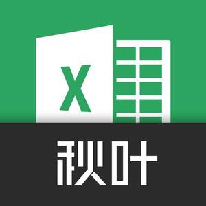 秋叶Excel 
