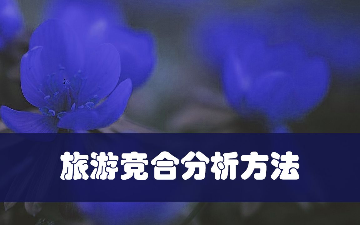 旅游竞合分析方法