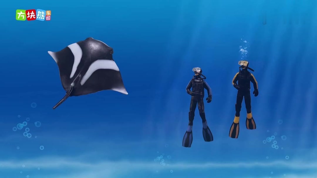 带你走进神奇的海底世界