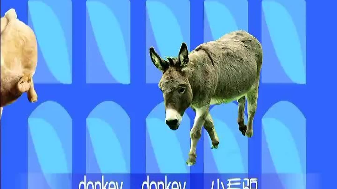 英语ABC系列 - 动物2