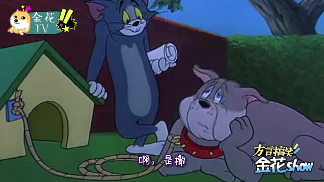 猫和老鼠用四川话来打开,这样看才叫爽,看了还想看!