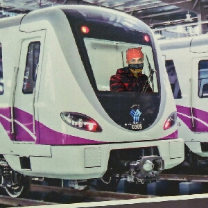 小猪dick 