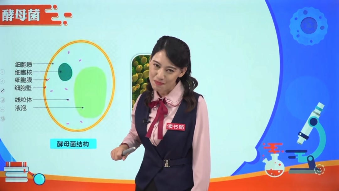 18.1.2微生物在生物圈中的作用(真菌)