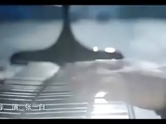 上海世博会倒计时一周年MV《城市》