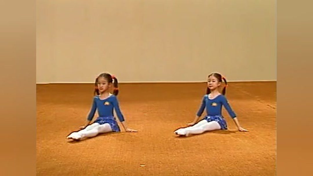 北京舞蹈学院中国舞考级四级20个动作完整教学