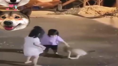 狗咬人不是新闻,人咬狗才是新闻。