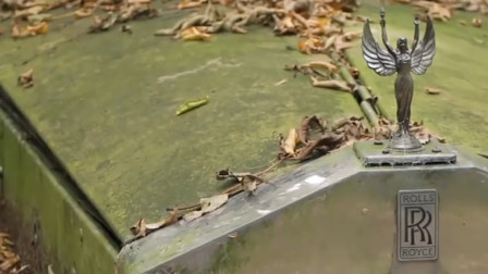 国外奇特汽车展览馆,50辆豪车停放在树林,锈迹斑斑却价值不菲