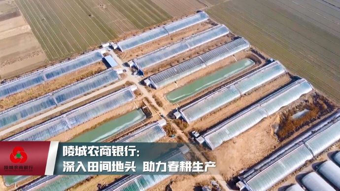 陵城农商银行:全力支持春耕备播