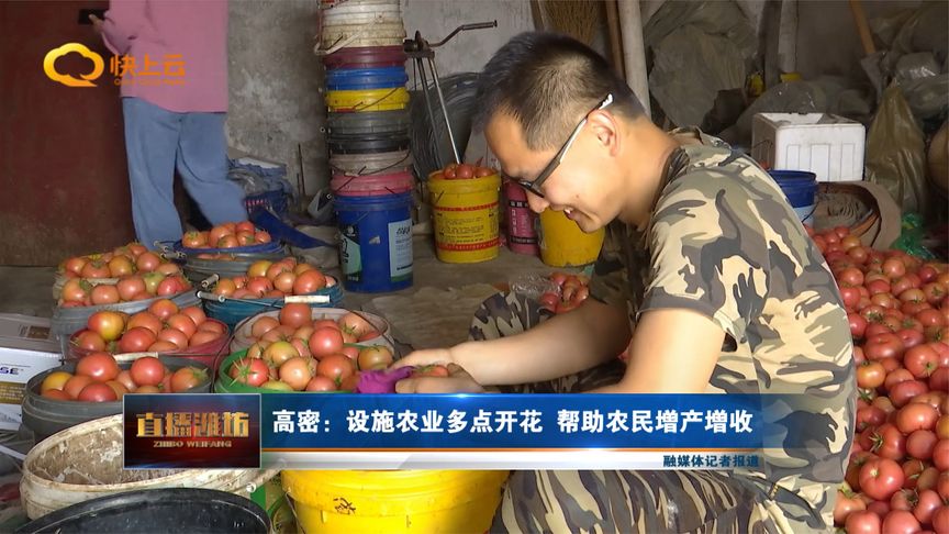 高密:设施农业多点开花 帮助农民增产增收