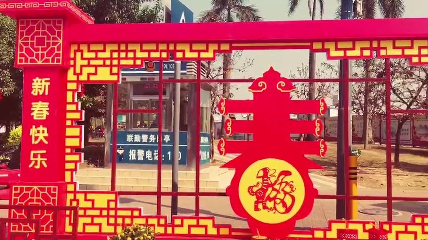 Capture手持云台,发现年味-2018春节龙华花市