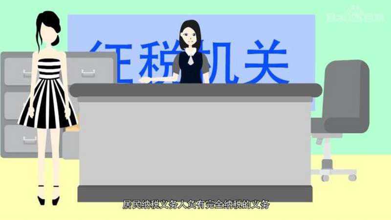 什么是个人所得税?