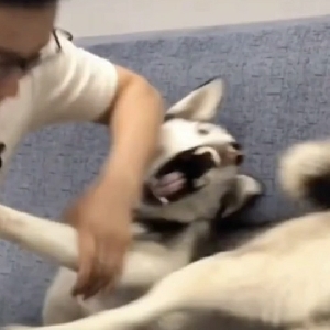 这里有一只硬币 