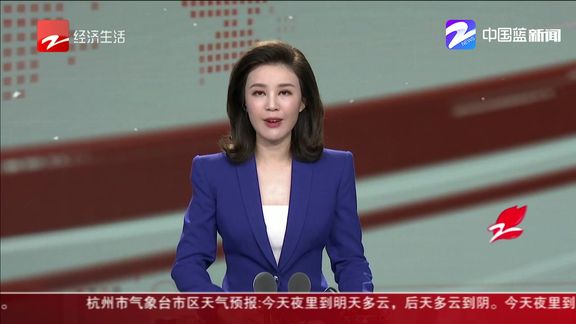 风云浙商赋能数字经济 这场国际大会在温开幕