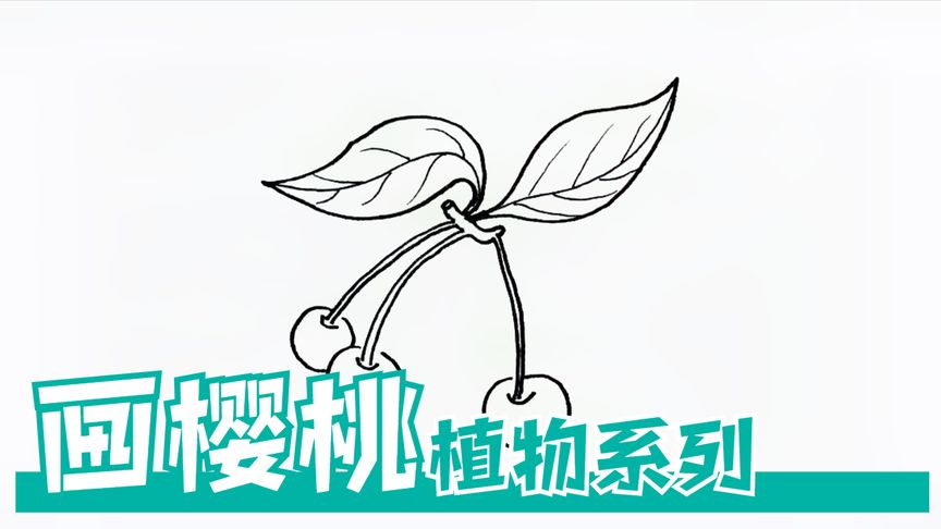 画樱桃只要一分钟