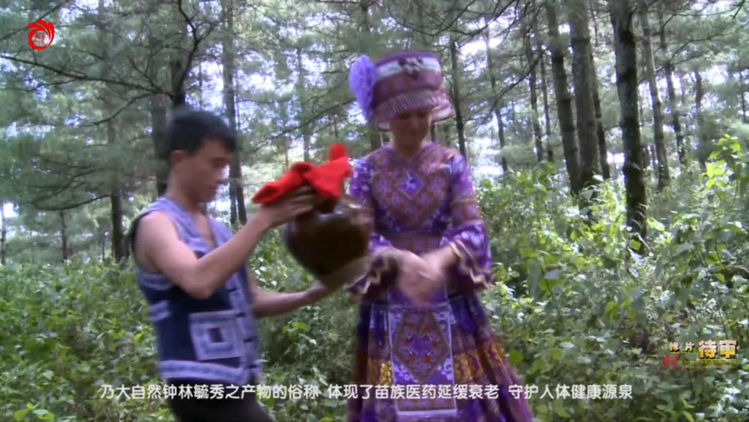 苗家健骨堂企业宣传片