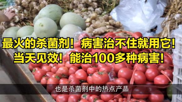 最火的杀菌剂,病害治不住就用它,当天见效,能治100多种病害!