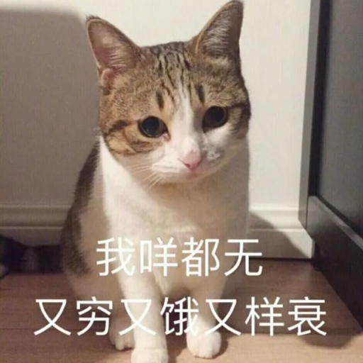 吴桐秋秋 
