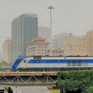 京沪十三猪那些年 