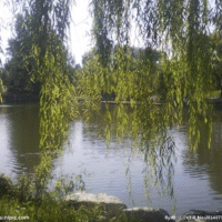 我也会因此而傻笑 