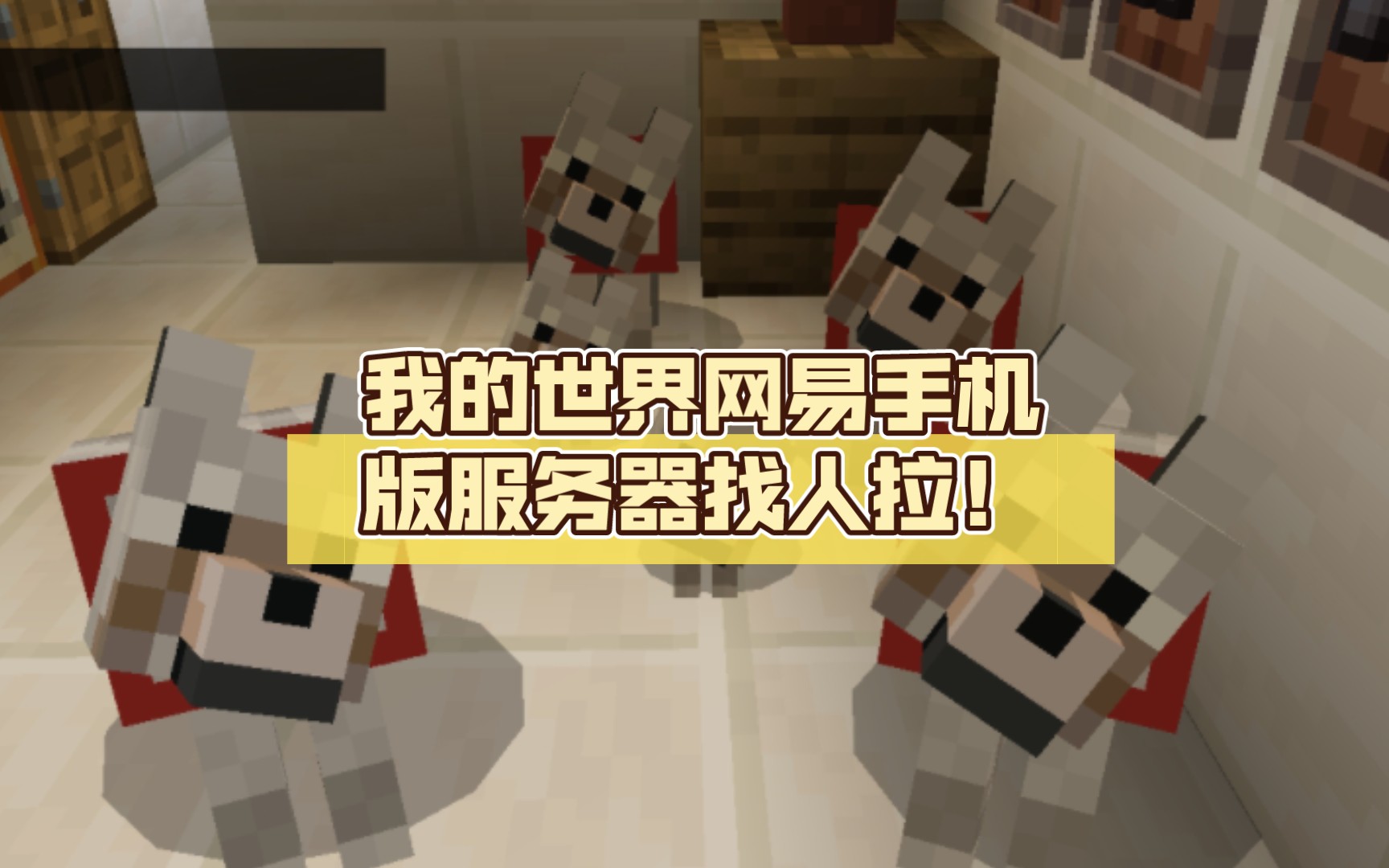 我的世界网易手机版服务器招人拉!