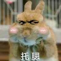 妖君热游 