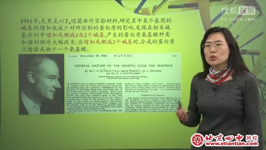 04基因的表达