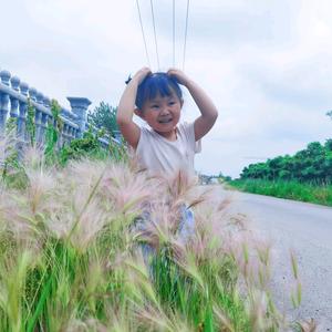 高晓芃 