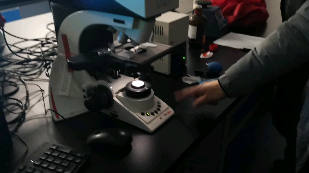 正置荧光显微镜操作示范