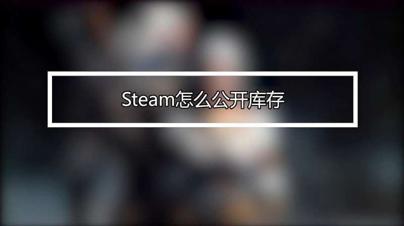 steam怎么公开库存