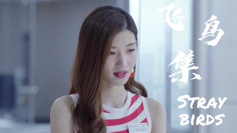 飞鸟集:大脑数据新人第一天入职,麦琪让大家撕掉标签