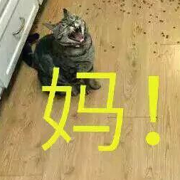 啊啊啊啊啊啊啊啊田 