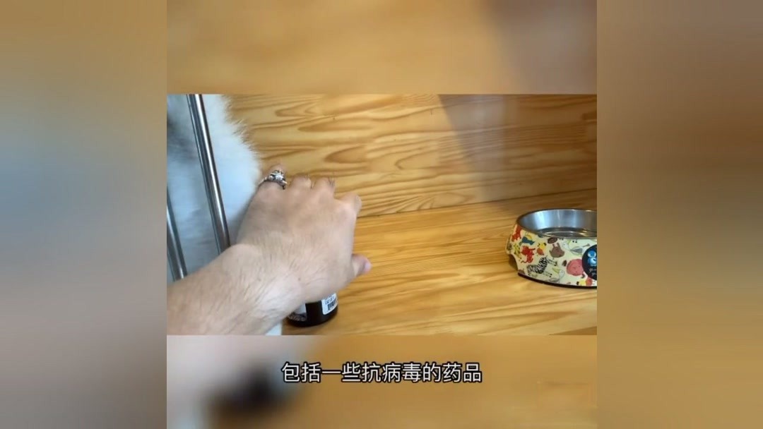疱疹类鼻支中猫氨的运用,第一牌子太小太杂的不要选,第二空腹服用,...