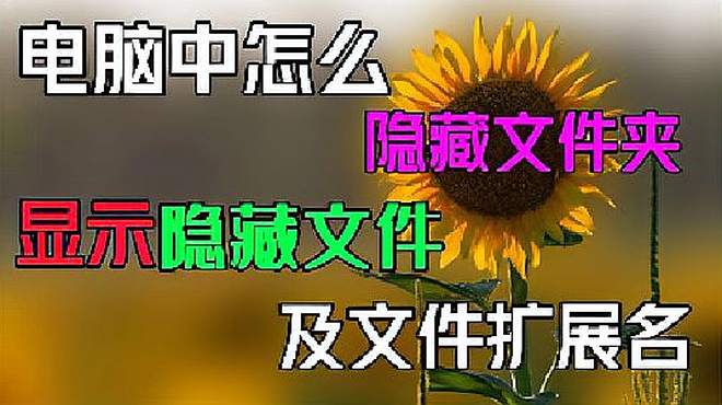 电脑中怎么隐藏文件夹和显示隐藏文件