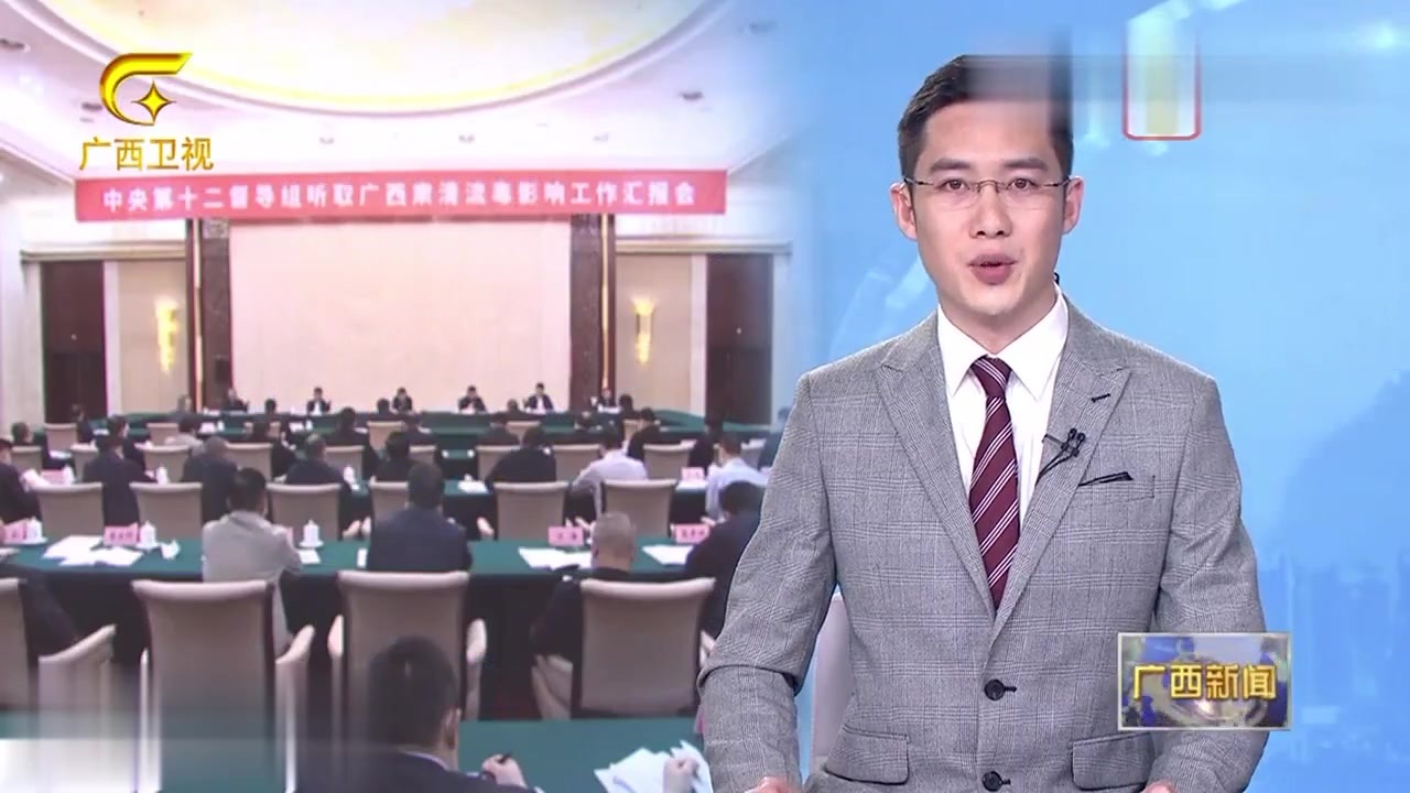 广西肃清流毒影响工作汇报会召开苗圩讲话刘宁作表态发言