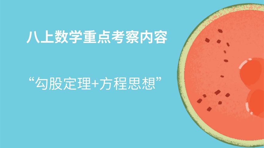 勾股定理+方程思想