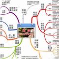 学习更有趣 