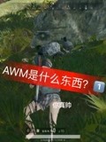 AWM是什么东西?1⃣️